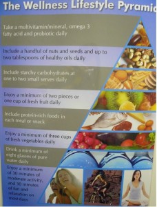 The New Food Pyramid Experts Are Recommending | Paddington Clinic Brisbane